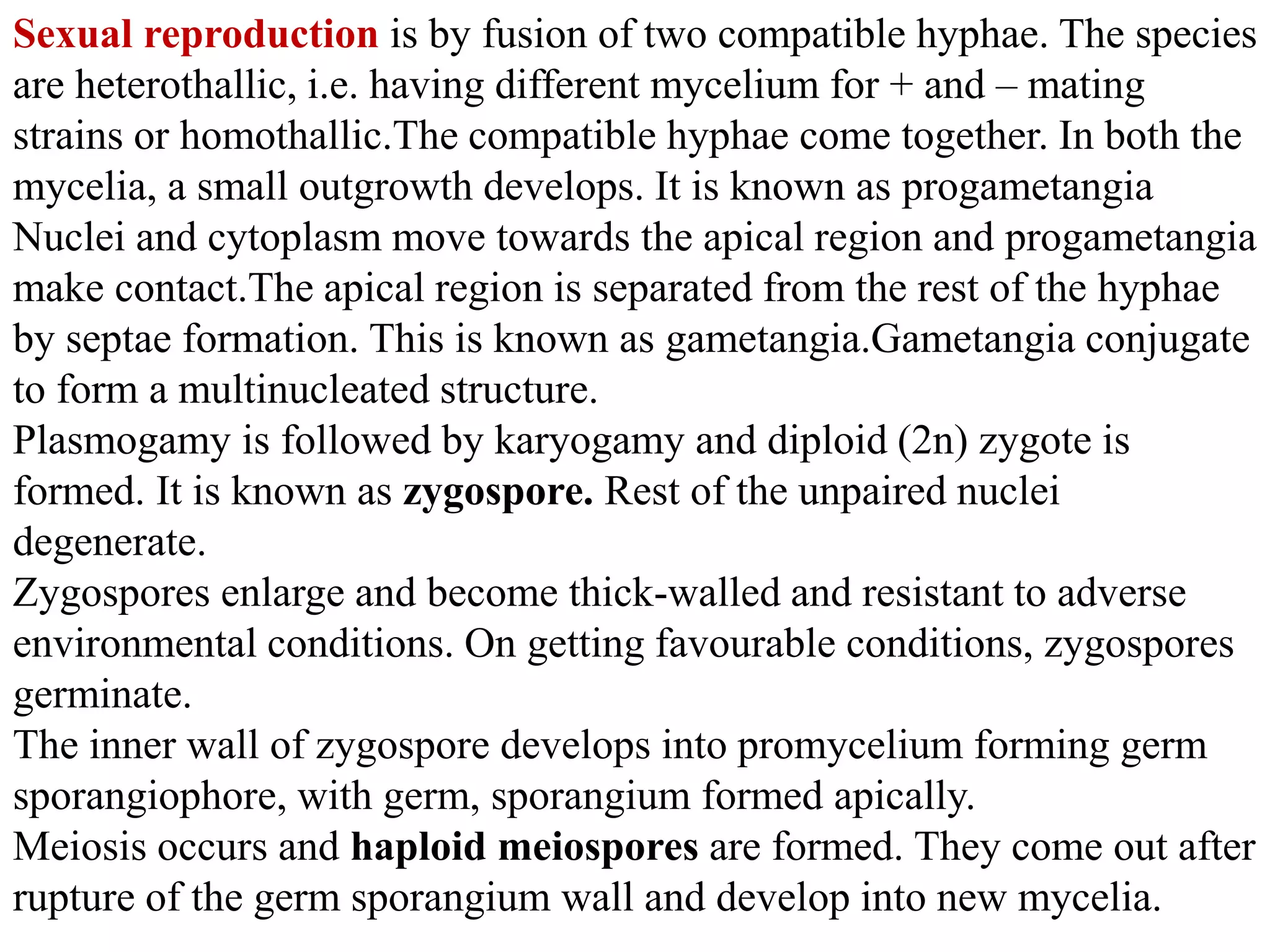 Zygomycotina | PPTX
