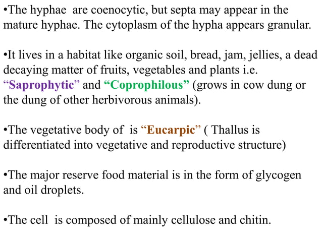 Zygomycotina | PPTX | Biological Sciences | Science