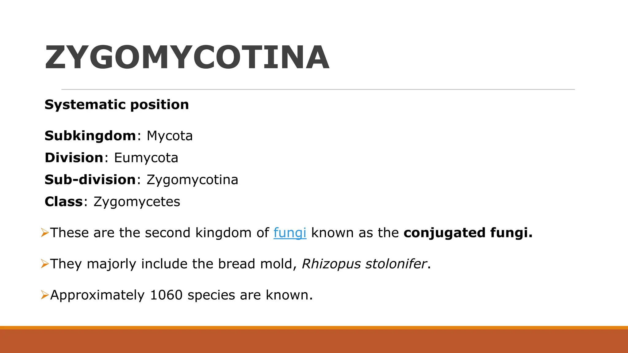 Introduction and general accounts of Zygomycotina | PPTX