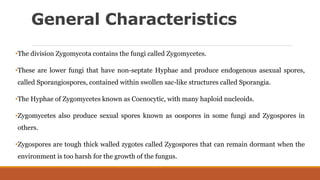 Introduction and general accounts of Zygomycotina | PPTX
