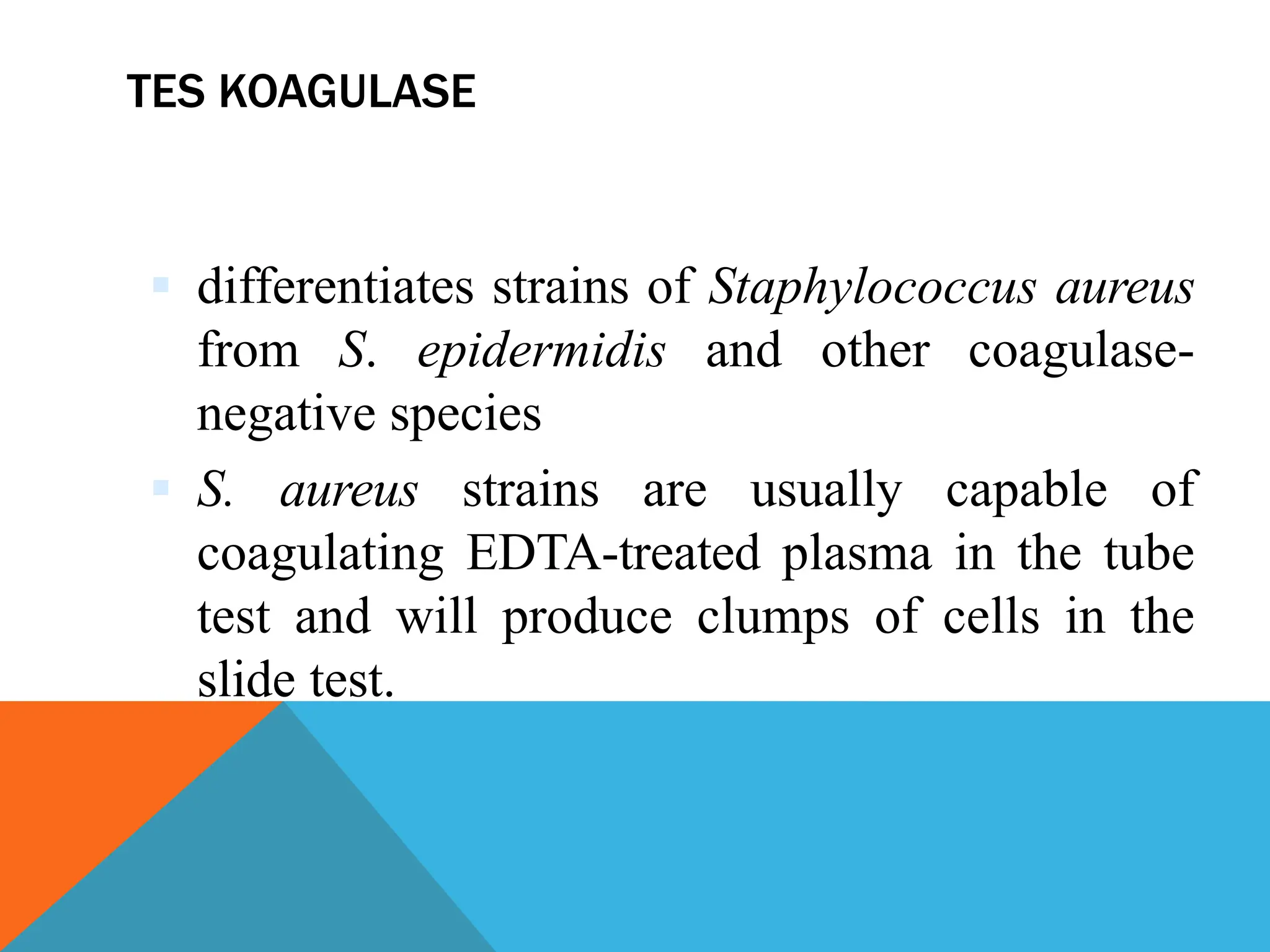 bakteri pada kulit dan jaringan tubuh .pptx