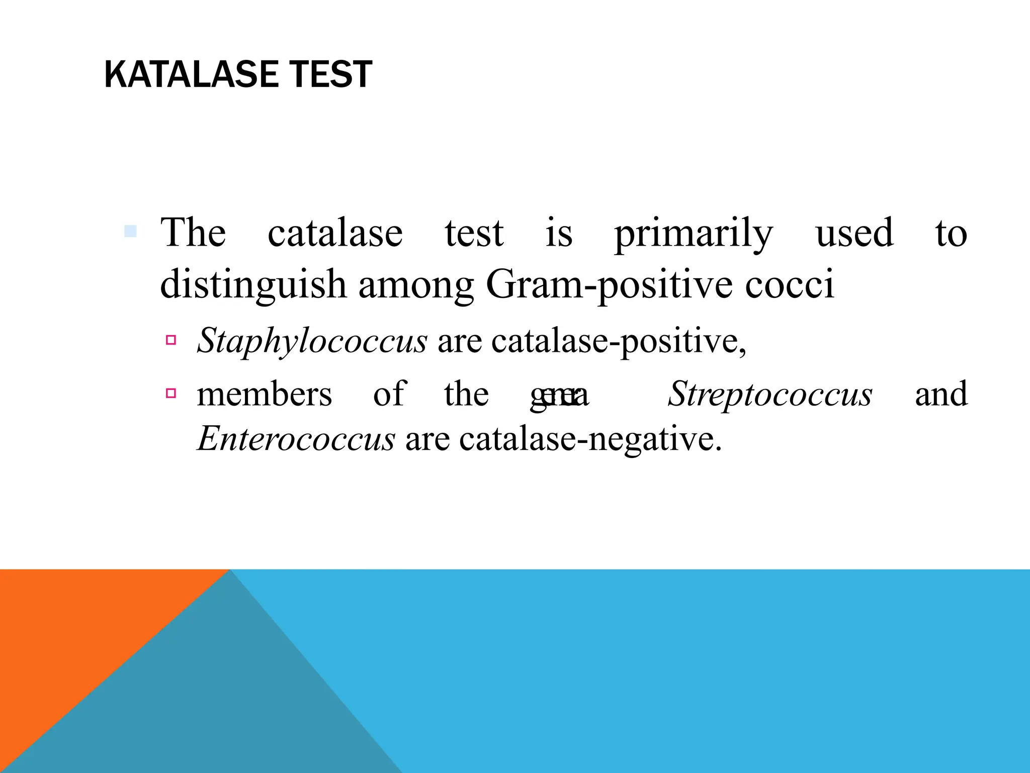 bakteri pada kulit dan jaringan tubuh .pptx