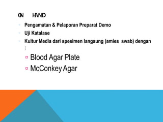 bakteri pada kulit dan jaringan tubuh .pptx