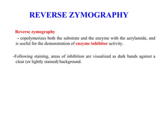 Zymography_Pas staining | PPT