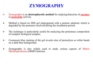 Zymography_Pas staining | PPT