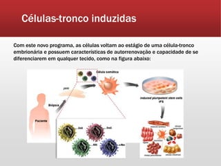 Células–tronco | PPTX