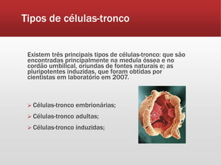 Células–tronco | PPTX