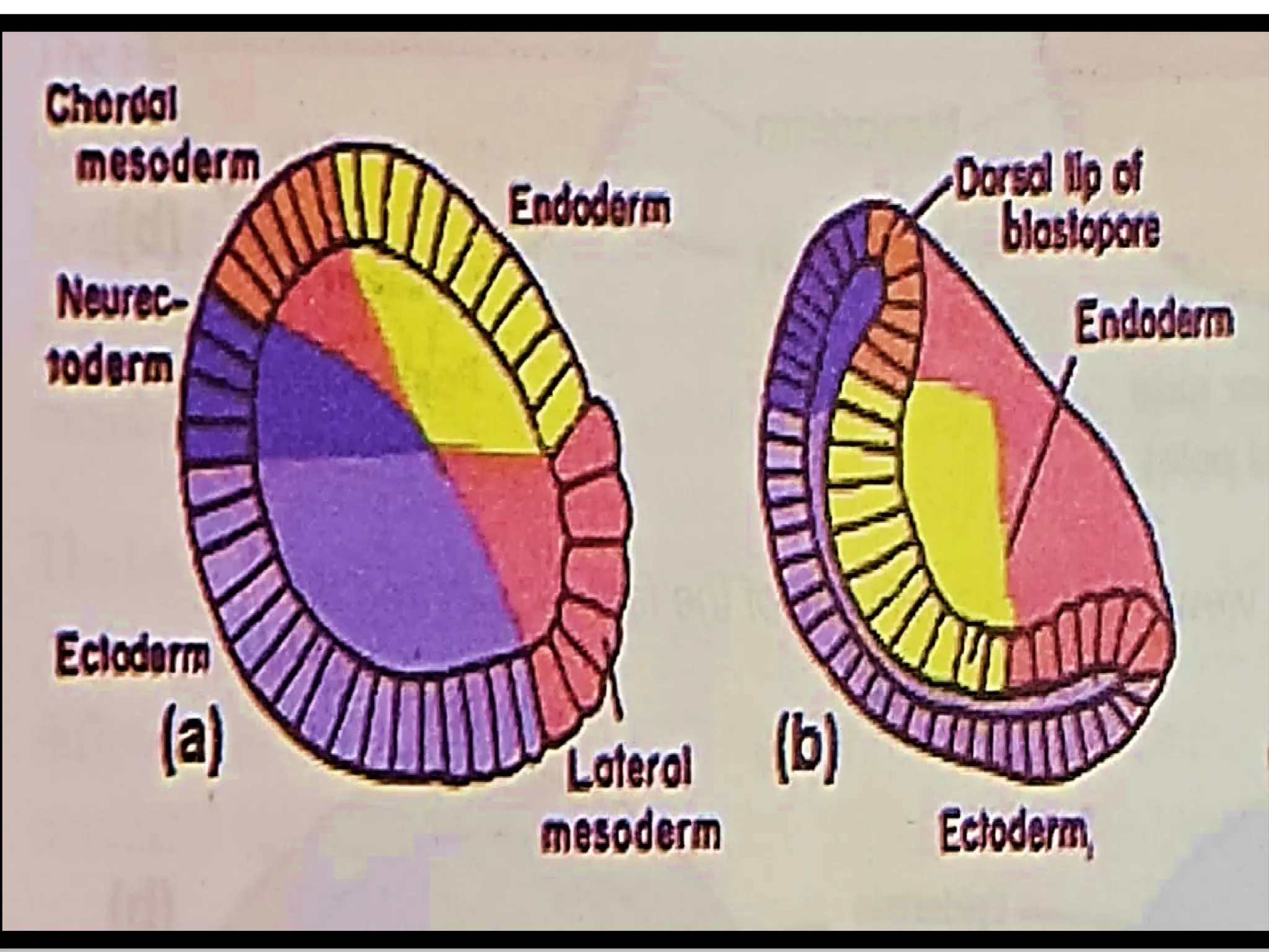 zyu 4302 group 2.pptxgiuhguhuohuhiohiohoihhi | PPT