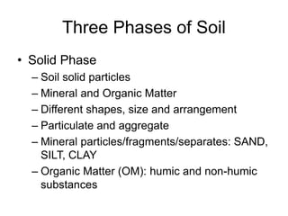 zzapprocheds.pptx | Science