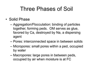 zzapprocheds.pptx | Science
