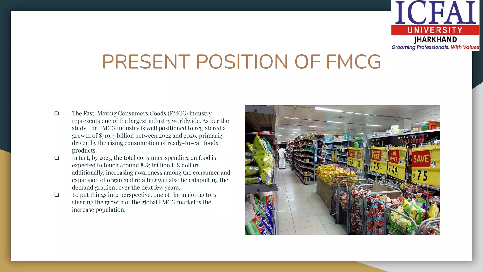 Presentation_of_FMCG_Industry.pdf | Healthcare Industry | Industries