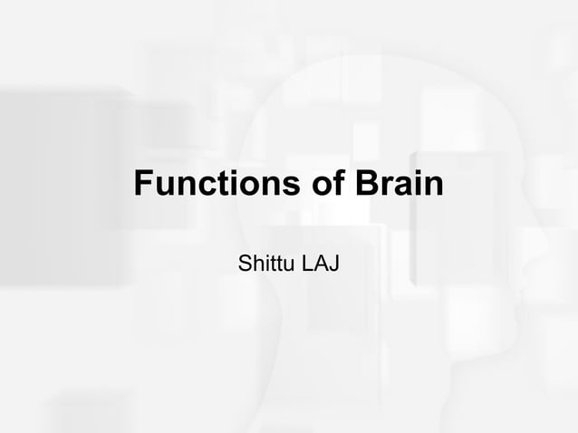 Brain function | PPT