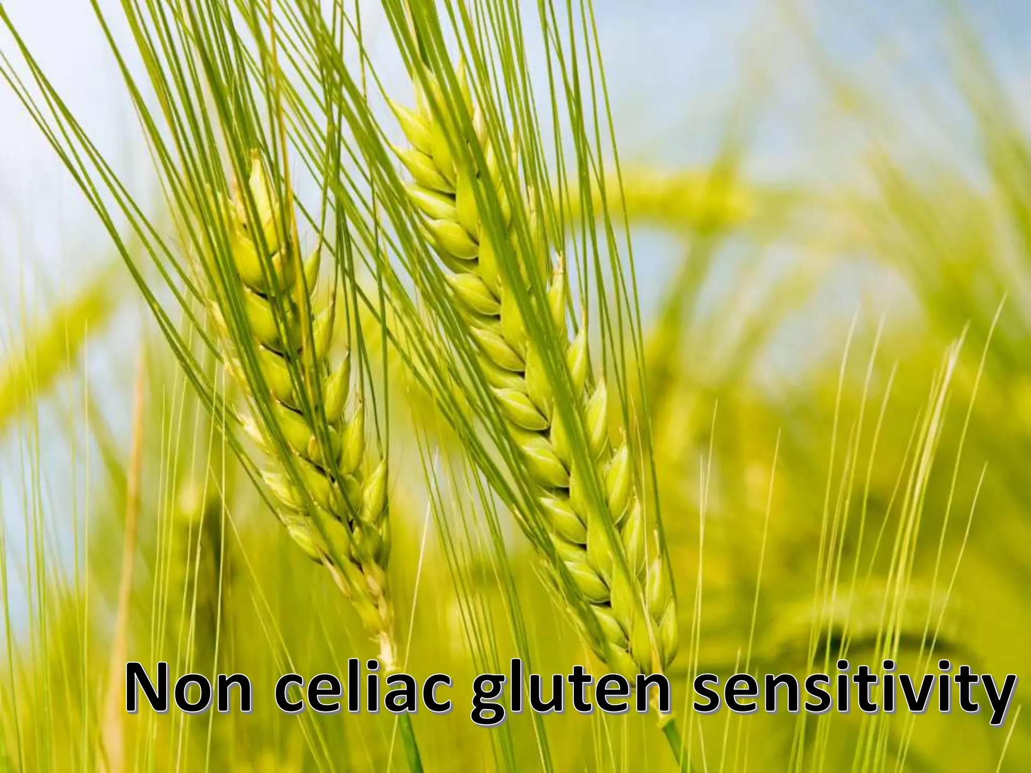 Non celiac gluten sensitivity | PPTX