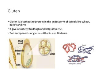 Non celiac gluten sensitivity | PPTX