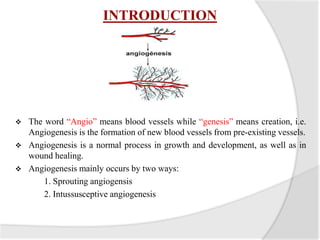 Angiogenesis and its approach to treat Cancer | PPT