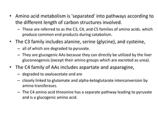 Pathway of metabolism.pptx