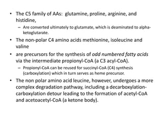 Pathway of metabolism.pptx
