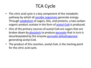 Pathway of metabolism.pptx