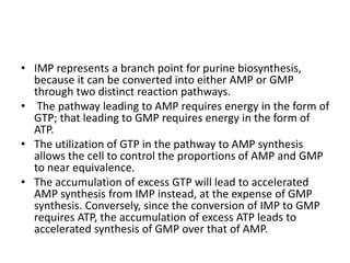 Pathway of metabolism.pptx