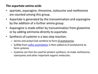 Pathway of metabolism.pptx