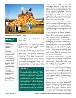 Organic Pumpkin and Winter Squash Marketing and Production | PDF