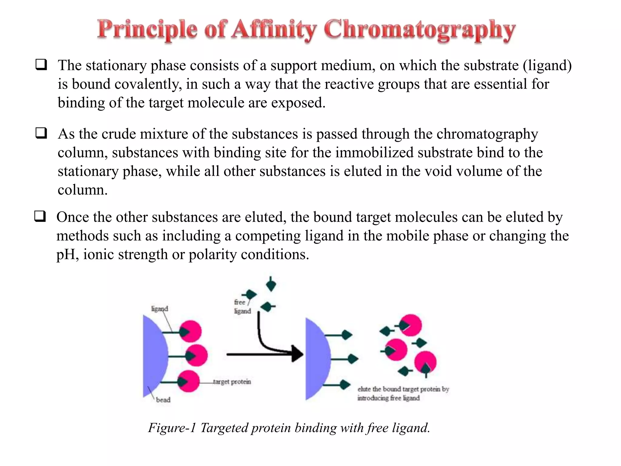 Affinity Chromatography MP MPAT Presentation.pptx