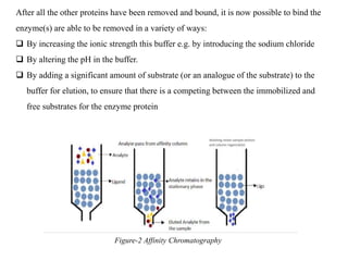 Affinity Chromatography MP MPAT Presentation.pptx