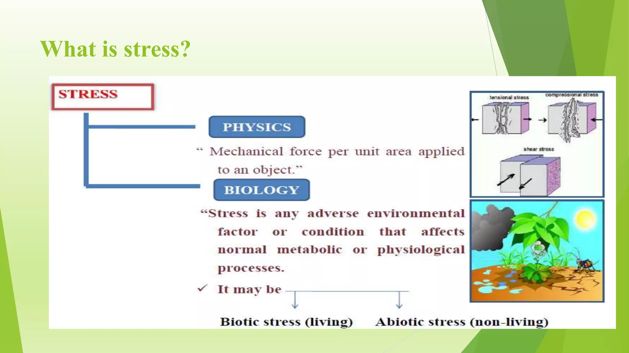 Abiotic stresses and their effects on fodder Crops (Drought ...