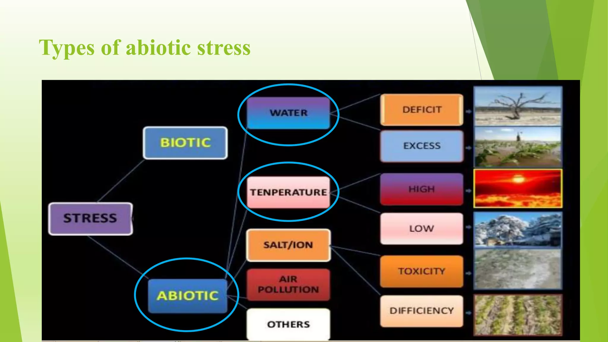 Abiotic stresses and their effects on fodder Crops (Drought ...