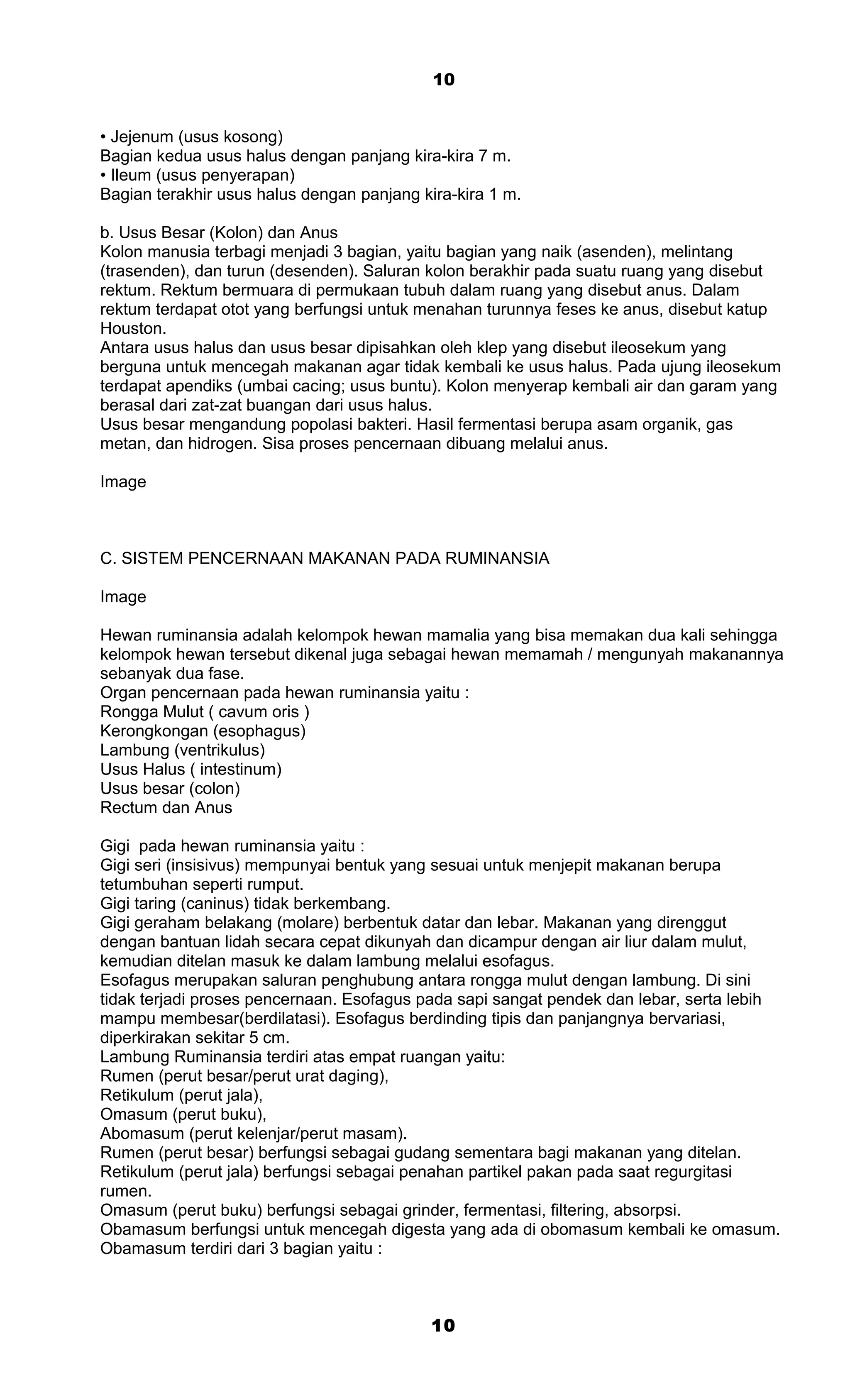rangkuman sistem pencernaan ,smp kelas 8 | DOC
