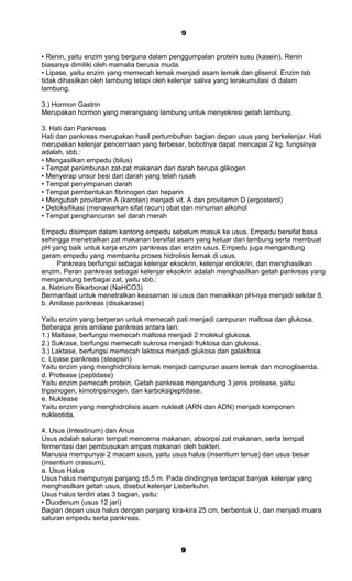 rangkuman sistem pencernaan ,smp kelas 8 | DOC